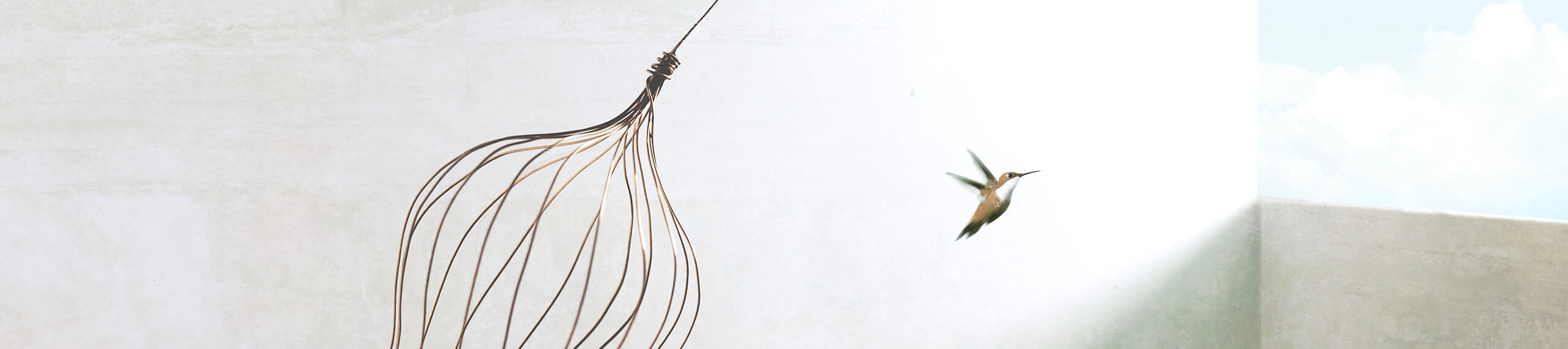 Hypnotherapy - The Healing Coach